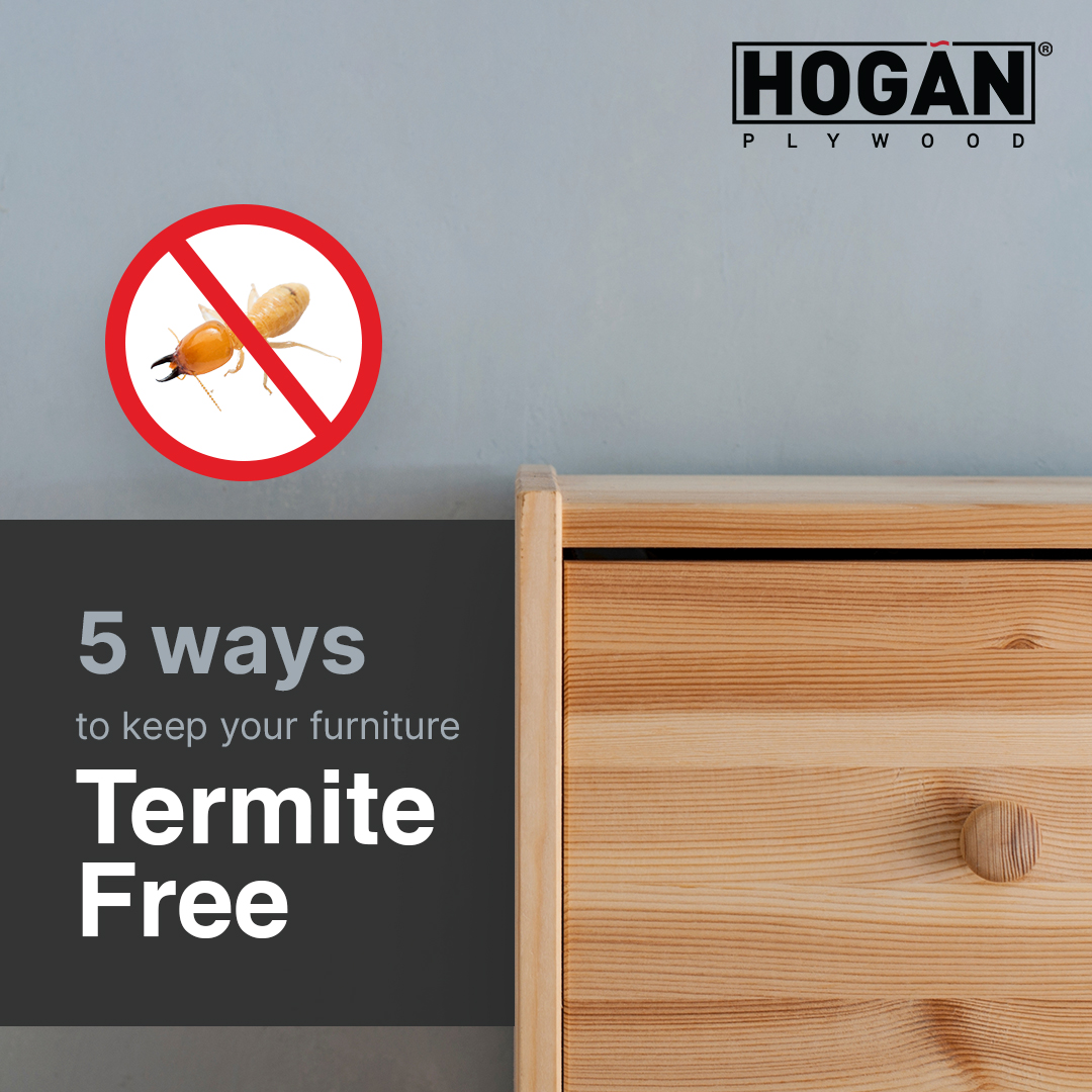5 Ways To Keep Your Furniture Termite Free – Hogan – Top Plywood ...
